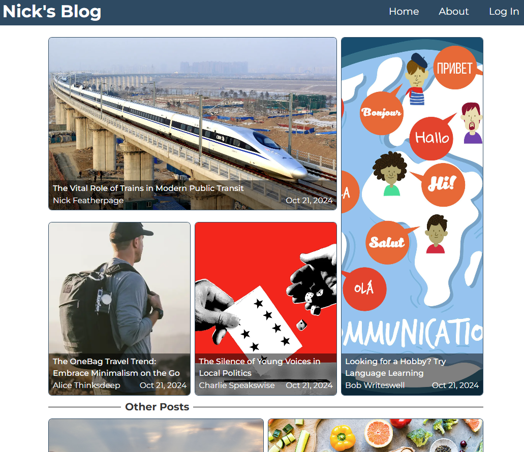 Nick Mufson Developer